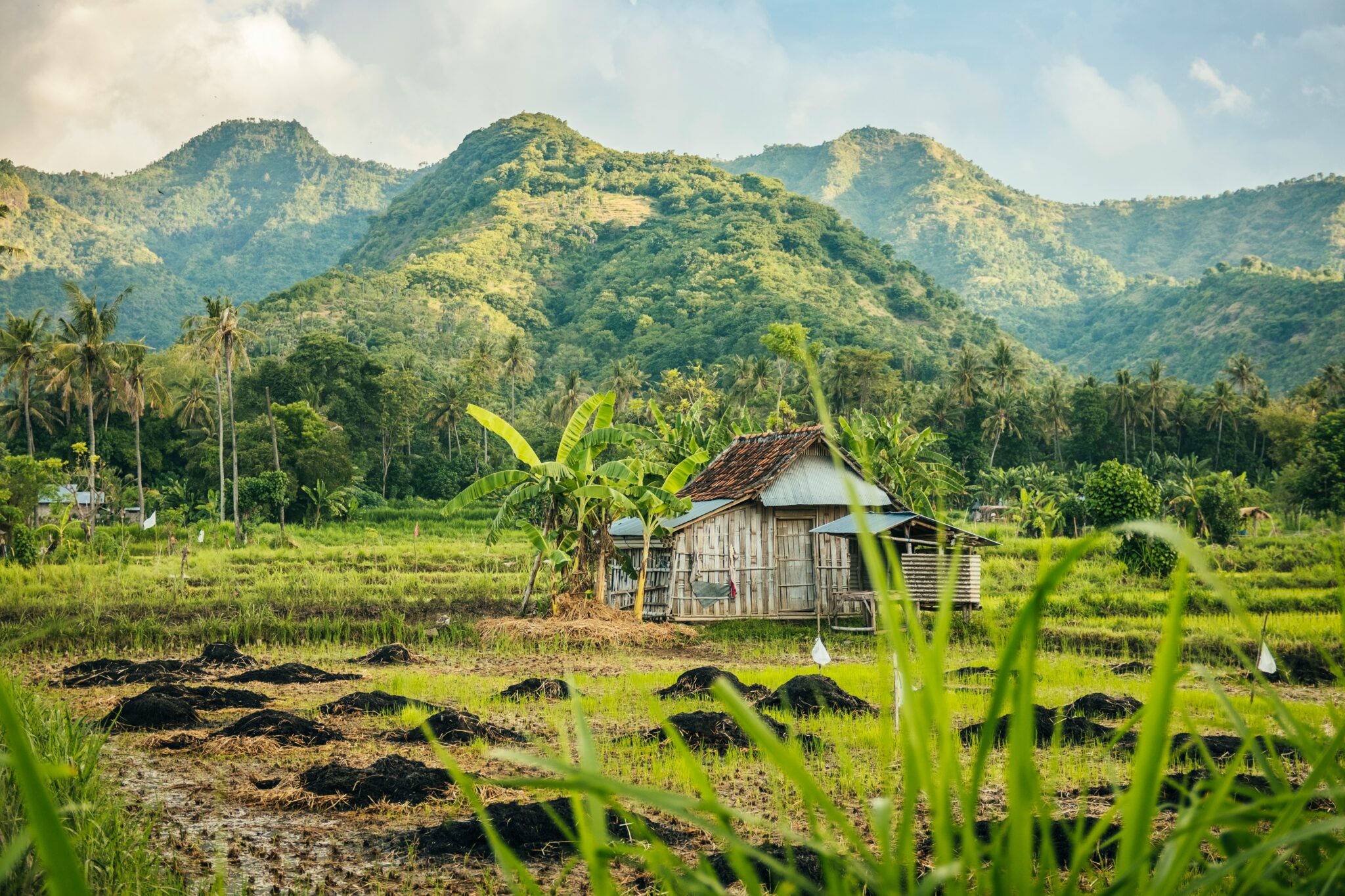Eerste vakantie naar Bali: alles wat je moet weten + gratis inpaklijst