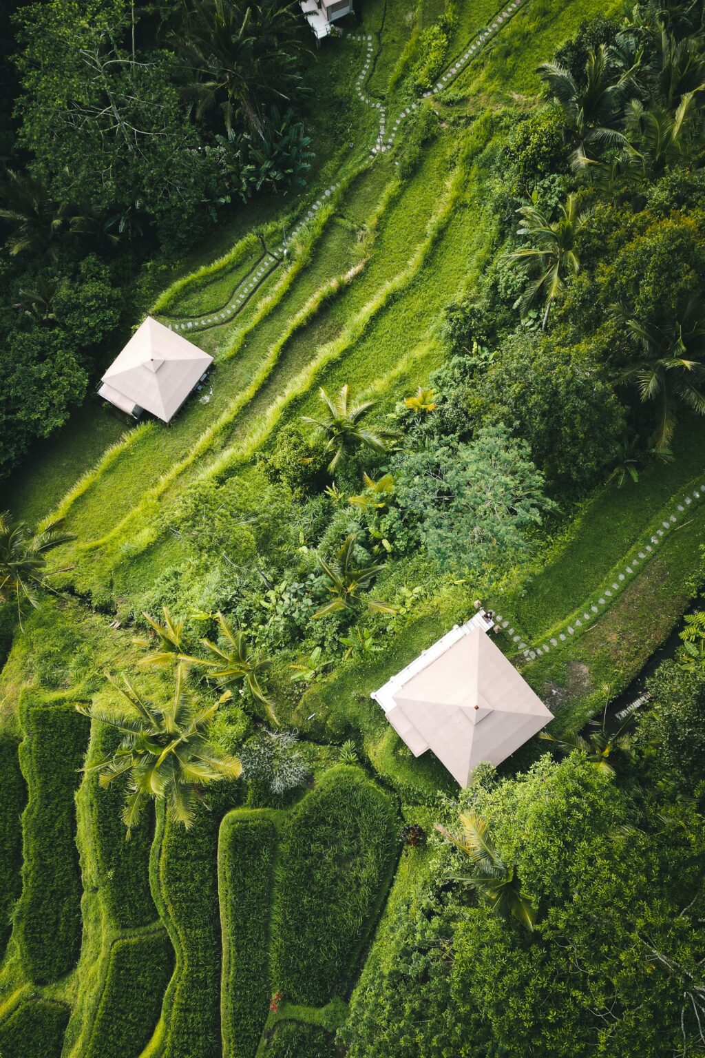 Beste reistijd Bali: weer, seizoenen en handige tips