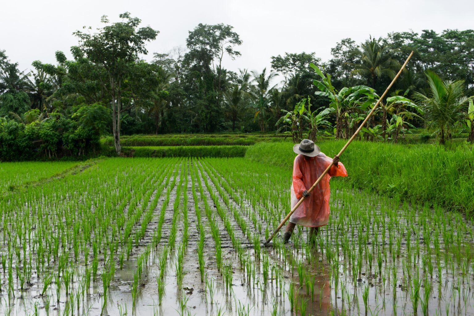 Weer Bali: klimaat, seizoenen & het weer per maand